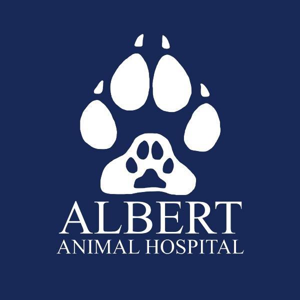 Albert Animal Hospital | Springwood | Vetfinder