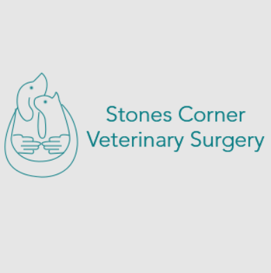 Stones Corner Veterinary Surgery | Woolloongabba | Vetfinder