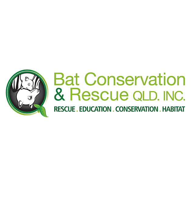 Bat Conservation & Rescue | Cleveland | Vetfinder